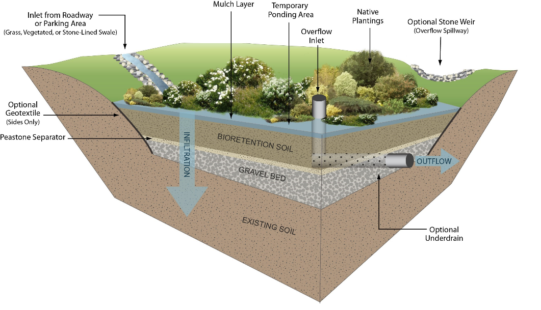 Why Maintenance of a Bioretention is Critical - Part 1