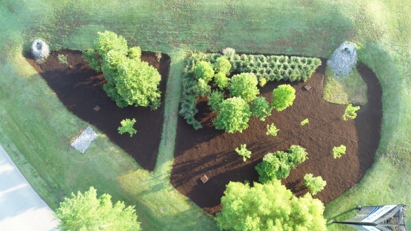 Why Maintenance of a Bioretention is Critical - Part 1